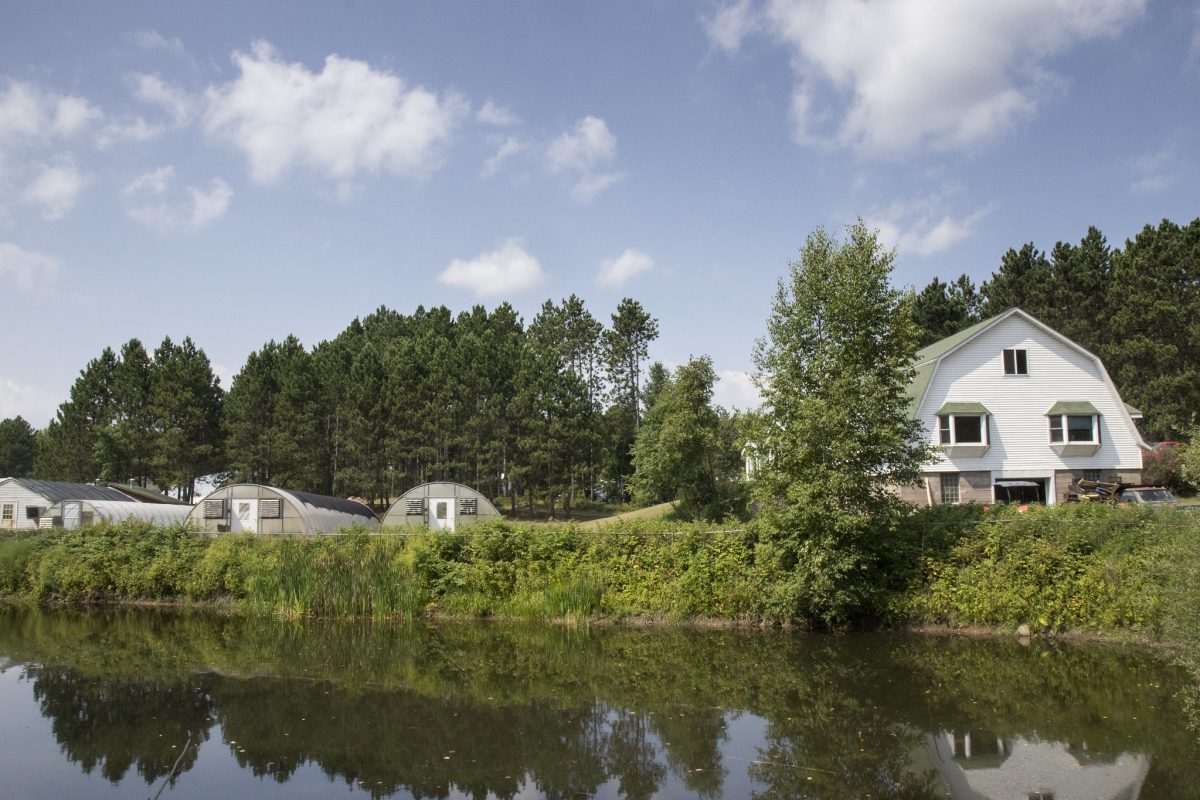 Photo Gallery – Rhinelander Research Station